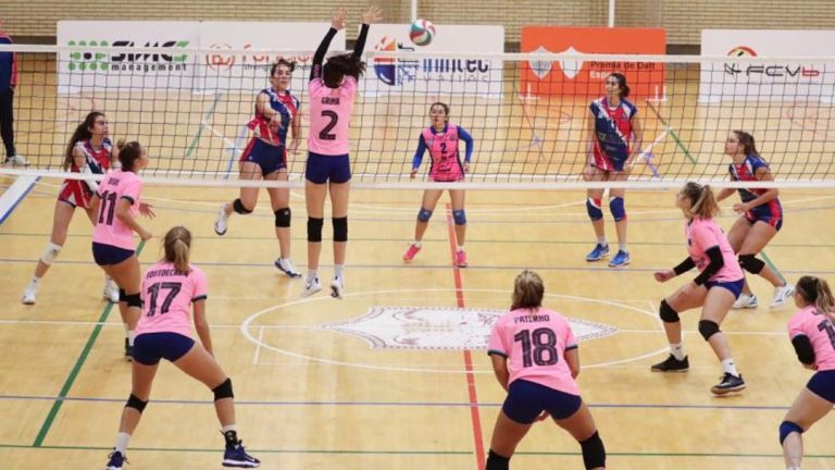 Roles y posiciones de los jugadores de voleibol: guía completa ...